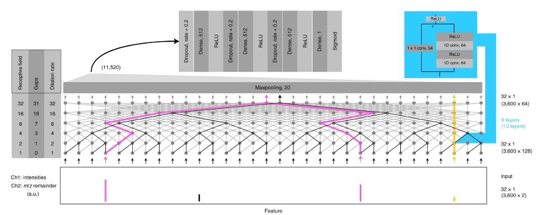 Ad Hoc Learning of Fragmentation - PROTrEIN